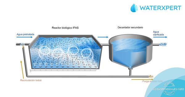 Reactor híbrido de biopelícula en lecho móvil para la biodegradación de ...