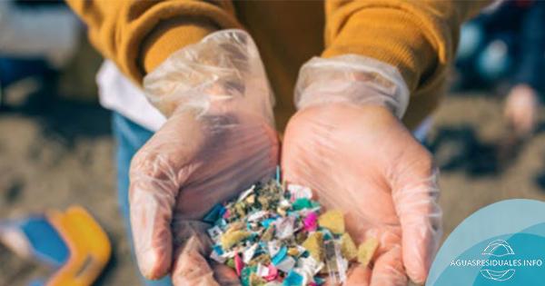 Una tecnología capaz de eliminar los microplásticos del agua gana el ...